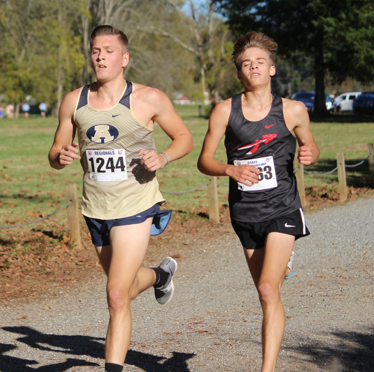 ACHS Cross Country Teams place third at NWC Meet – The Taylorsville Times