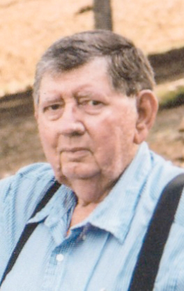Steve David Fox – The Taylorsville Times
